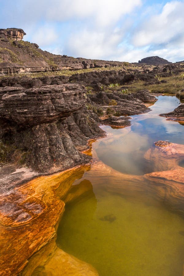 Berg Roraima-Jacuzzi stockbild. Bild von savanne, klippe - 103148453