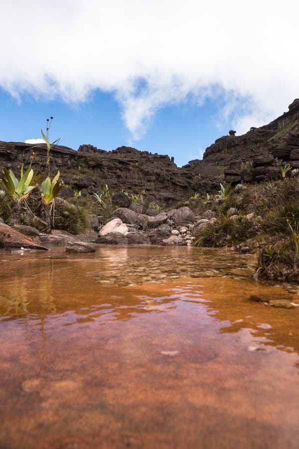 Berg Roraima-Jacuzzi Venezuela Stockbild - Bild von guyana, wolke ...
