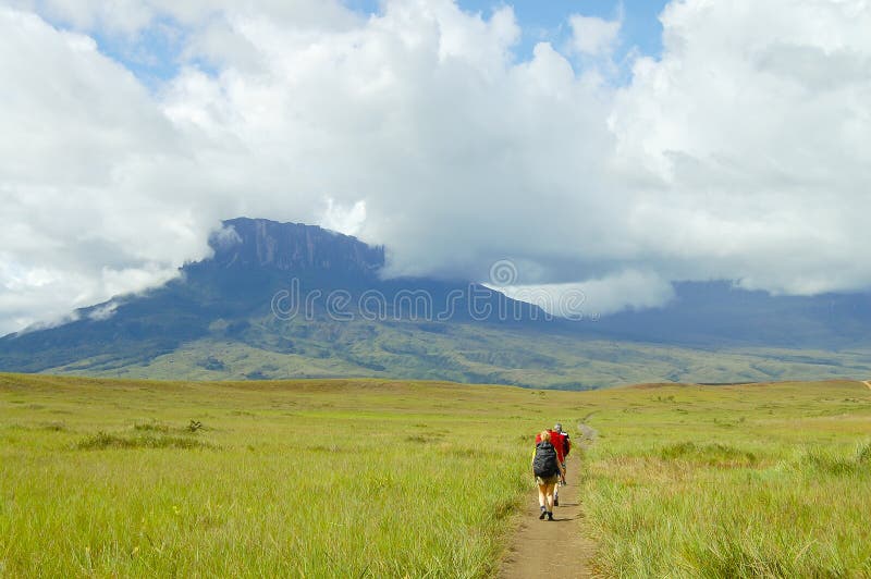 Berg Roraima - Venezuela stockbild. Bild von flach, abgefressen - 90068609