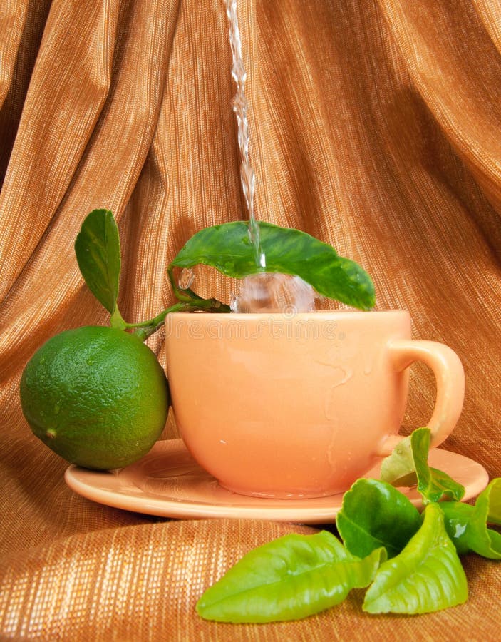 Bergamot tea stock image. Image of herbal, branch, aroma - 17510369