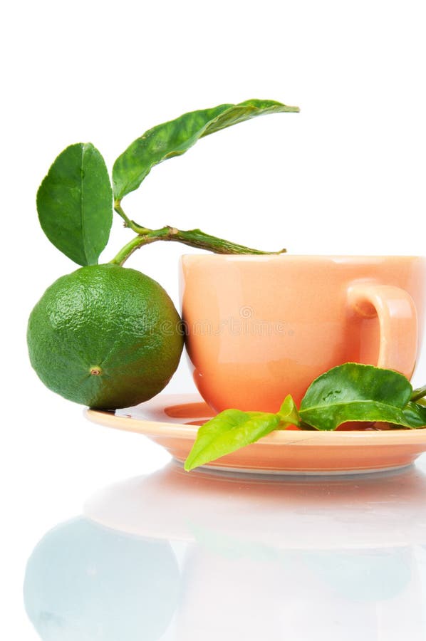 Bergamot tea stock photo. Image of exotic, herbal, fragrance - 17510348