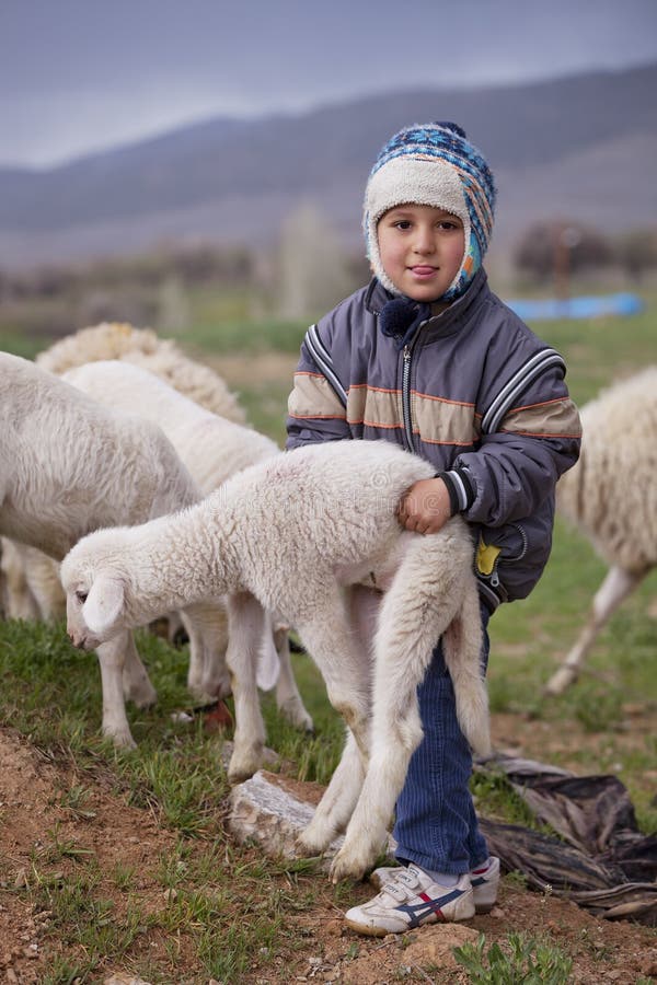 Berger Turc Et Troupeau De Chèvres Sur La Route à Urla Izmir Turkey ...