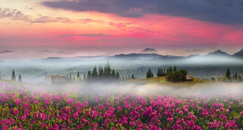 Bergketens van de Oekraïne stock foto. Image of openlucht - 44829852