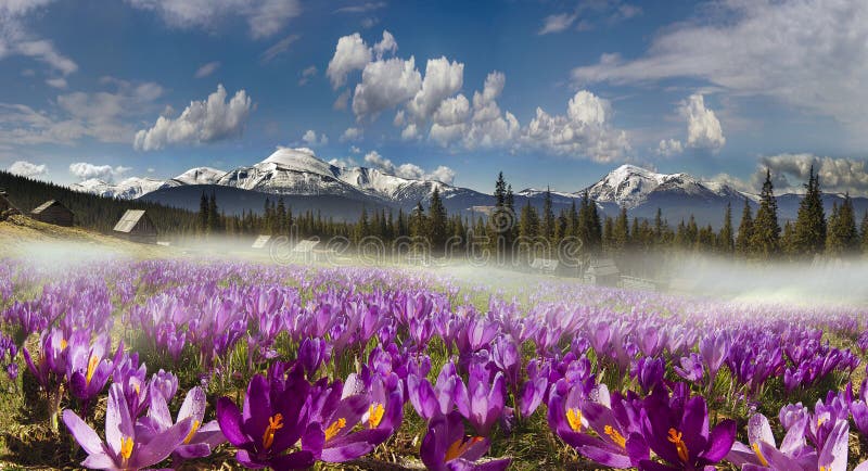 Bergketens van de Oekraïne stock afbeelding. Image of karpatisch - 44871455