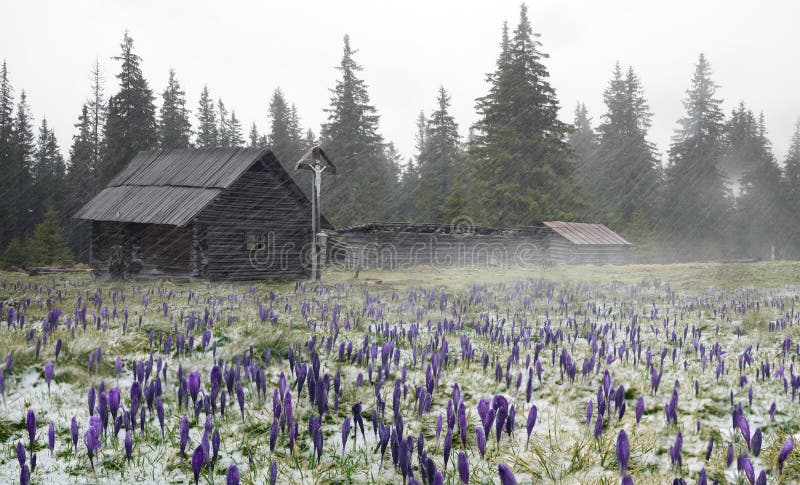 Bergketens van de Oekraïne stock foto. Image of naughty - 44877422