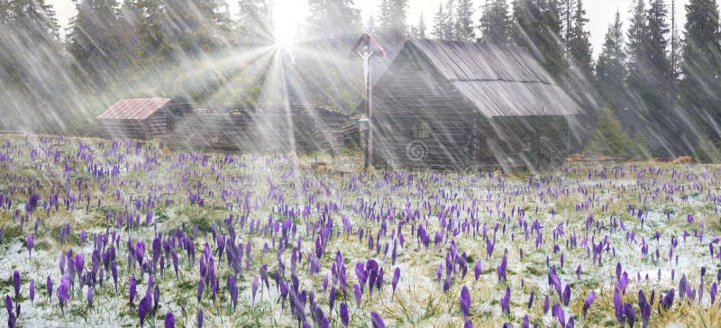 Bergketens van de Oekraïne stock afbeelding. Image of berg - 53281145