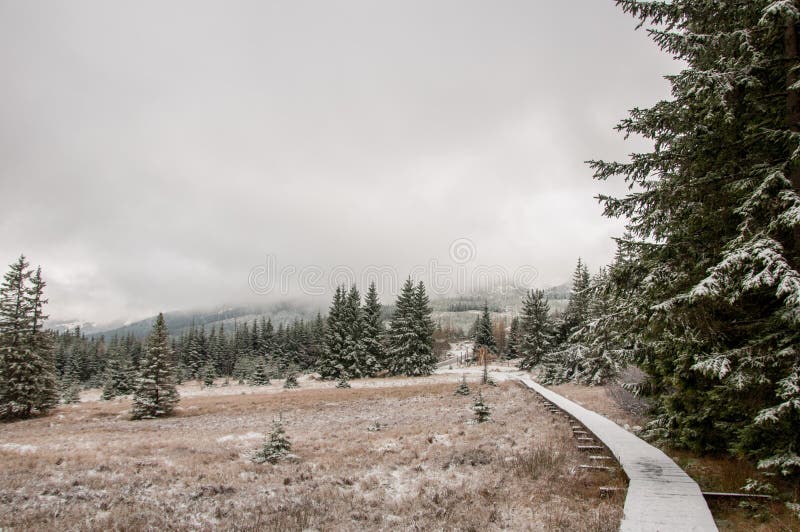 Bergketens van Europa stock foto. Image of oost, rotsachtig - 38879216