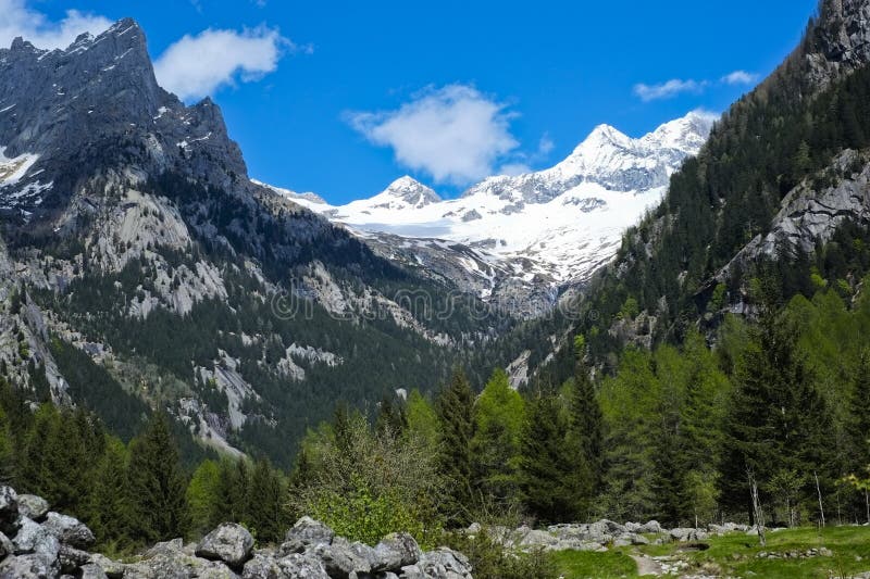 Berglandschap stock afbeelding. Image of piek, lente - 31263951