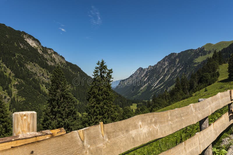 Bergwanderung in den Alpen stockbild. Bild von bäume - 75933225