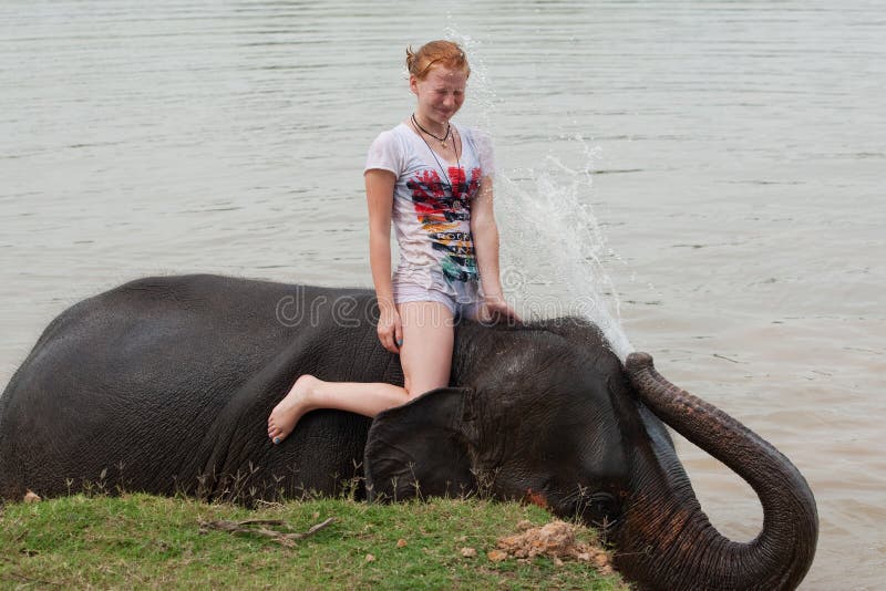 Op een olifant rijden stock foto. Image of tiener, rijden - 15769002