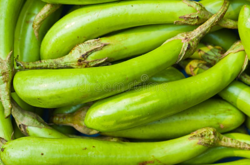 Beringela foto de stock. Imagem de dieta, produto, tailândia - 23516934