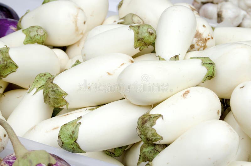 Beringela branca foto de stock. Imagem de branco, vegetariano - 32407388