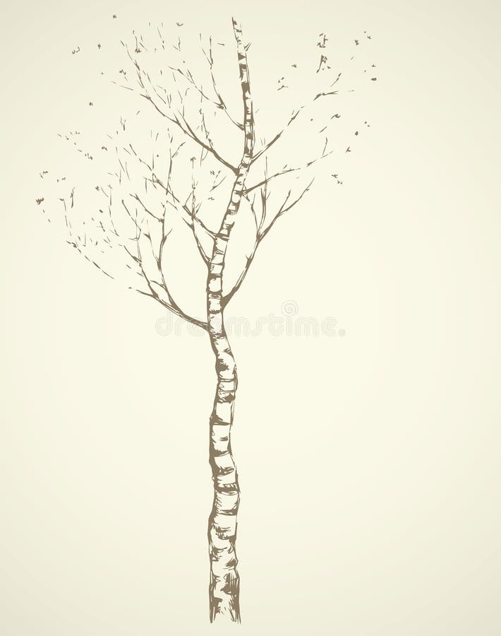 Trekvogelboom. Potloodtekening Stock Illustratie - Illustration of park ...