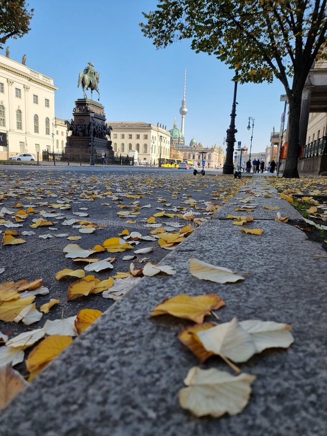 Berlin Boulevard Covered with Fall Time Leaves Stock Image - Image of ...