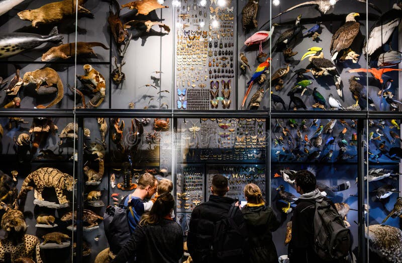 Marble Bust of Charles Darwin in Nature Museum Editorial Photo - Image ...