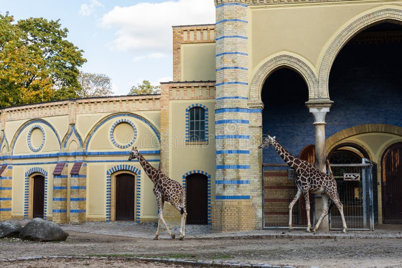 Berlin Zoological Garden editorial photo. Image of europe - 172100896