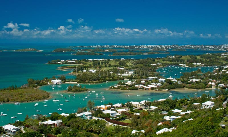Shell stock image. Image of beach, ocean, close, shellfish - 14658283