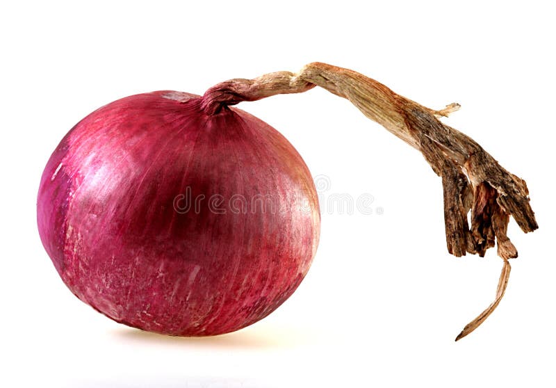 Strawberry, Kiwi Dessert stock image. Image of green, dish - 411177