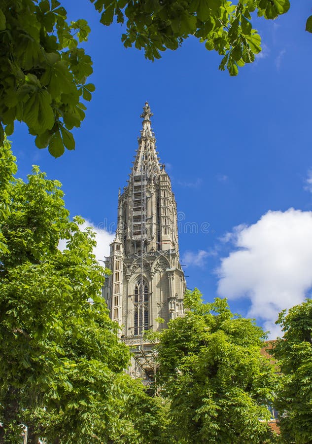 Bern Cathedral. Gothic Cathedral Stock Image - Image of cathedral ...