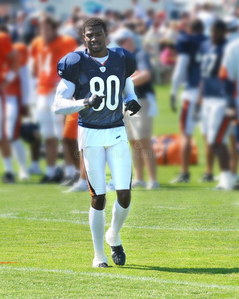 Free Chicago Bears Clipart Stock Photos - Free & Royalty-Free Stock ...