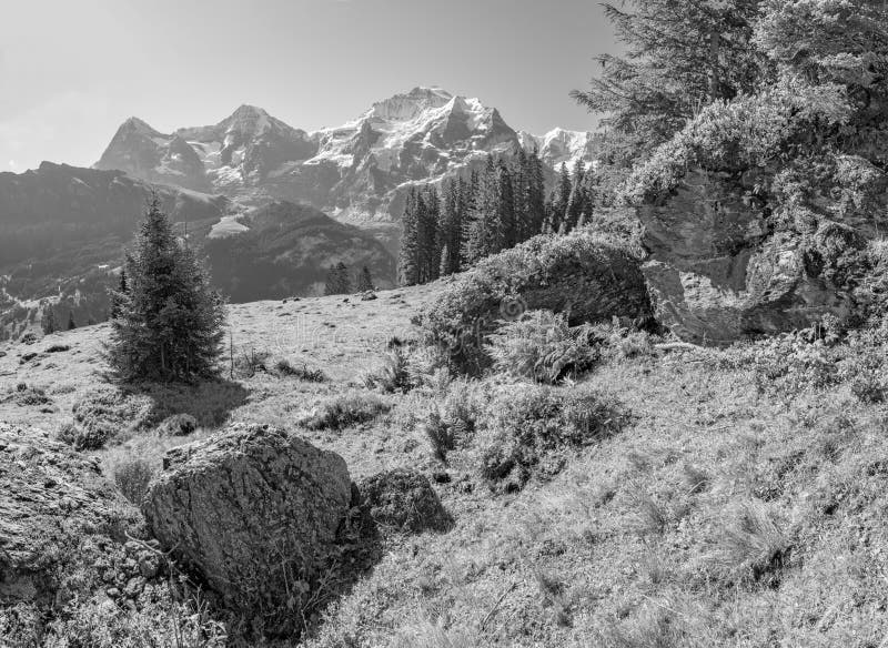 The Bernese Alps with the Jungfrau, Monch and Eiger Peaks Over the Alps ...