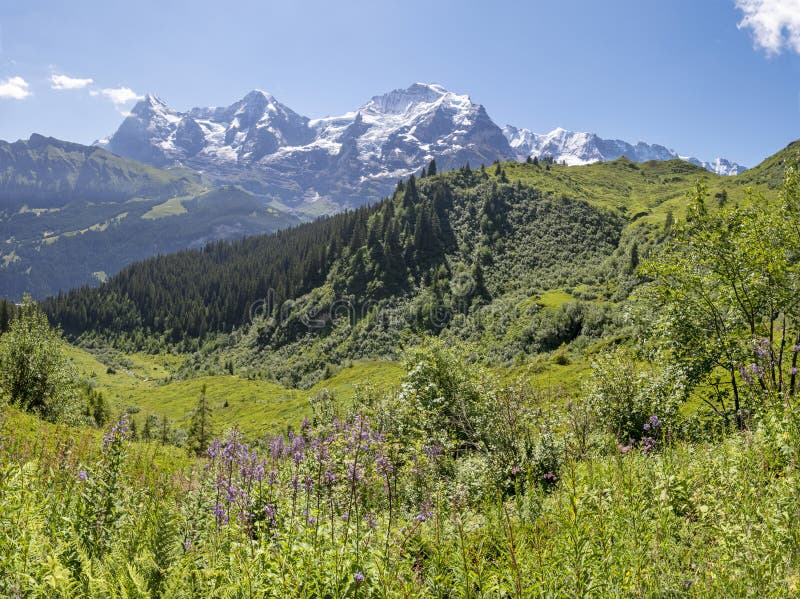 The Bernese Alps with the Jungfrau, Monch and Eiger Peaks Over the Alps ...