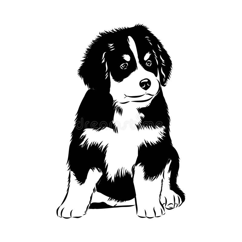 Bernese Mountain Dog - Isolated Vector Illustration Stock Vector ...