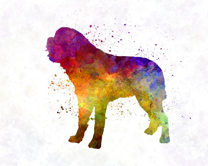 Bernhardiner im Aquarell stock abbildung. Illustration von haustier ...