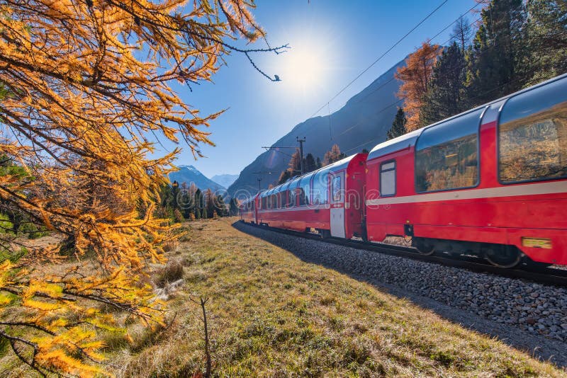 Bernina Swiss Red Train in Autumn Stock Photo - Image of switzerland ...