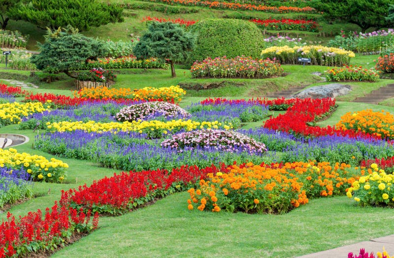 Beroemde Bloementuin in Thailand Stock Foto - Image of bloei ...