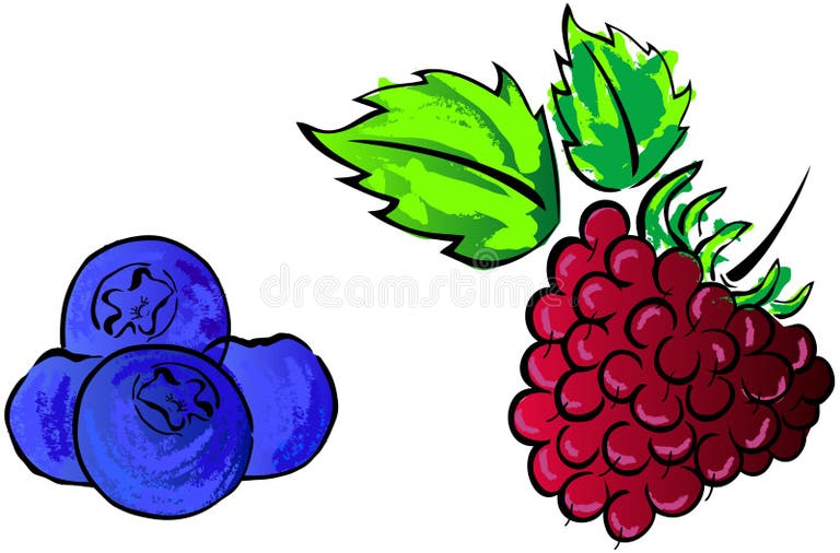 Mixed Berries Stock Illustrations – 5,112 Mixed Berries Stock ...