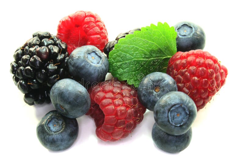 Five Berries stock photo. Image of deserts, natural, health - 49126986