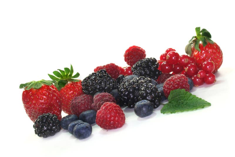Five Berries stock photo. Image of deserts, natural, health - 49126986