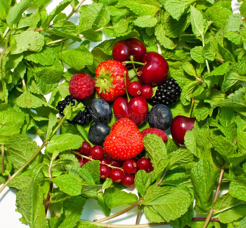 Berries stock photo. Image of edible, color, group, isolated - 22191376