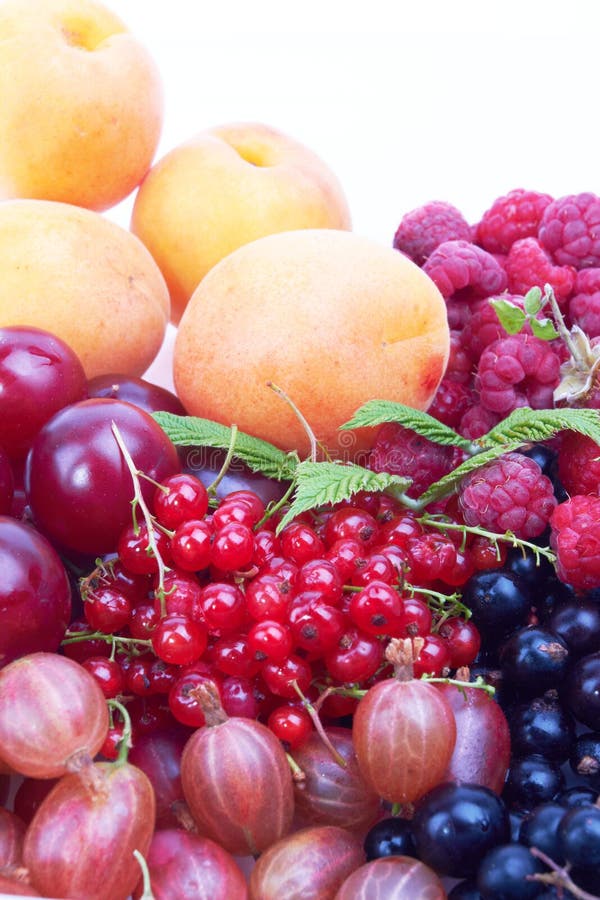 Berries stock photo. Image of snack, eating, nutrient - 25398892