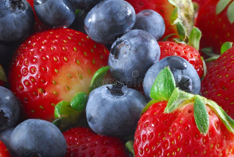 Berries stock image. Image of fruit, eating, closeup, health - 4840923