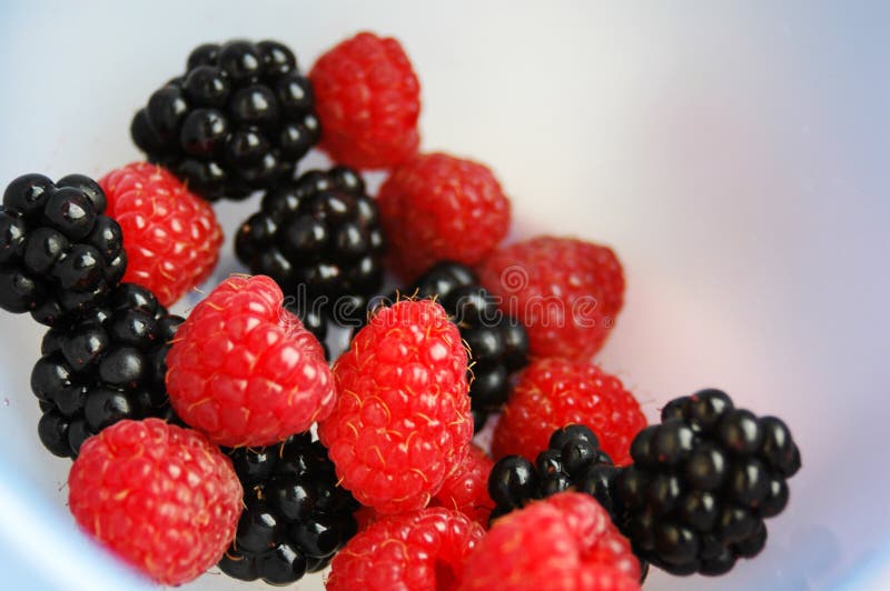 Berries Picture. Image: 6152718