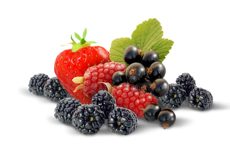 Berries stock image. Image of produce, isolated, raspberry - 7129575