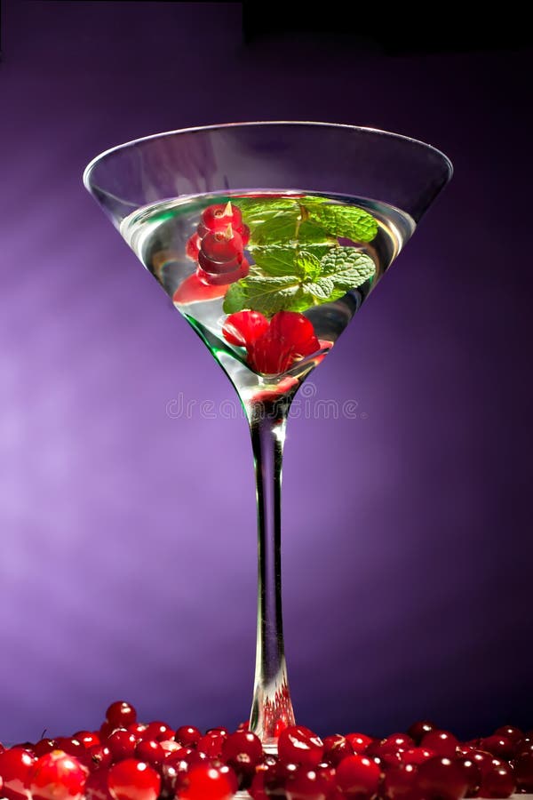 Berries alcohol coctail stock photo. Image of liqueur - 22383356