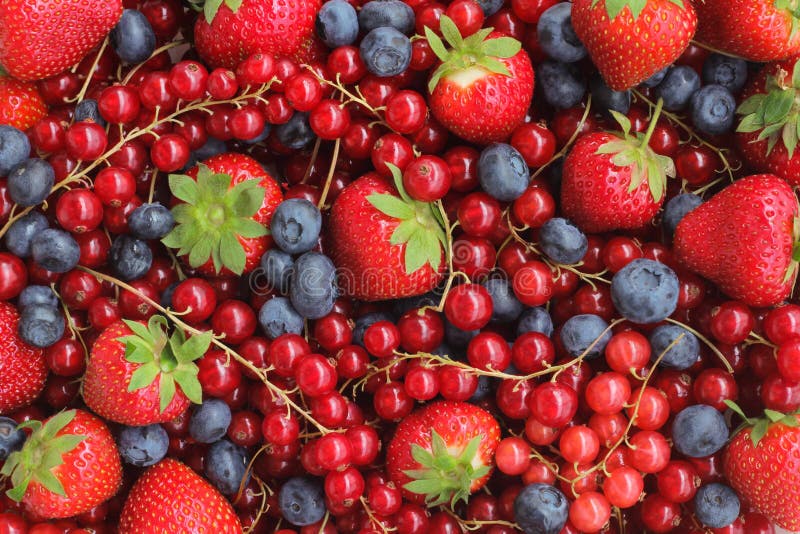 Strawberries and Blueberries on Wooden Bowl. Stock Photo - Image of ...