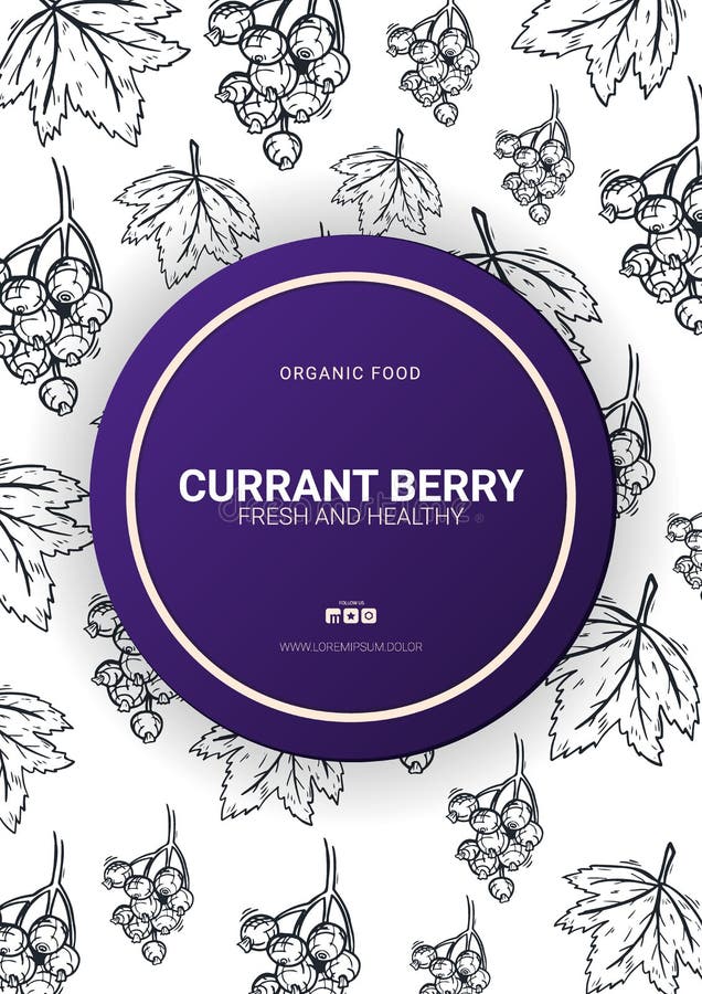 Berries Banner with Currants. Food Design Template with Berry. Stock ...