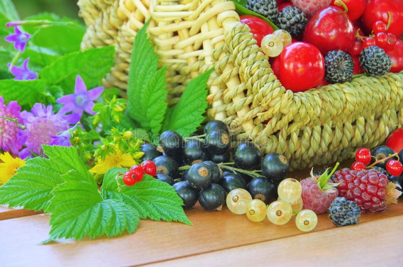 Berries in basket stock photo. Image of summer, currant - 25524912
