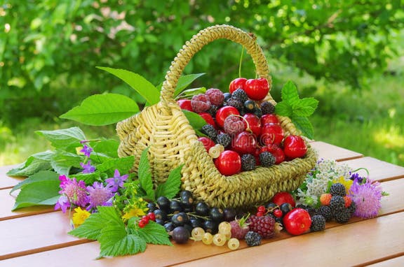 Berries in basket stock photo. Image of food, cherries - 25524926