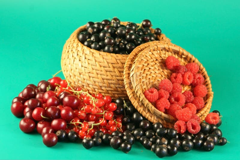 Berries in a basket. stock photo. Image of brown, arrangement - 2723582