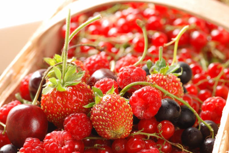 Berries in basket stock image. Image of organic, dessert - 2784249