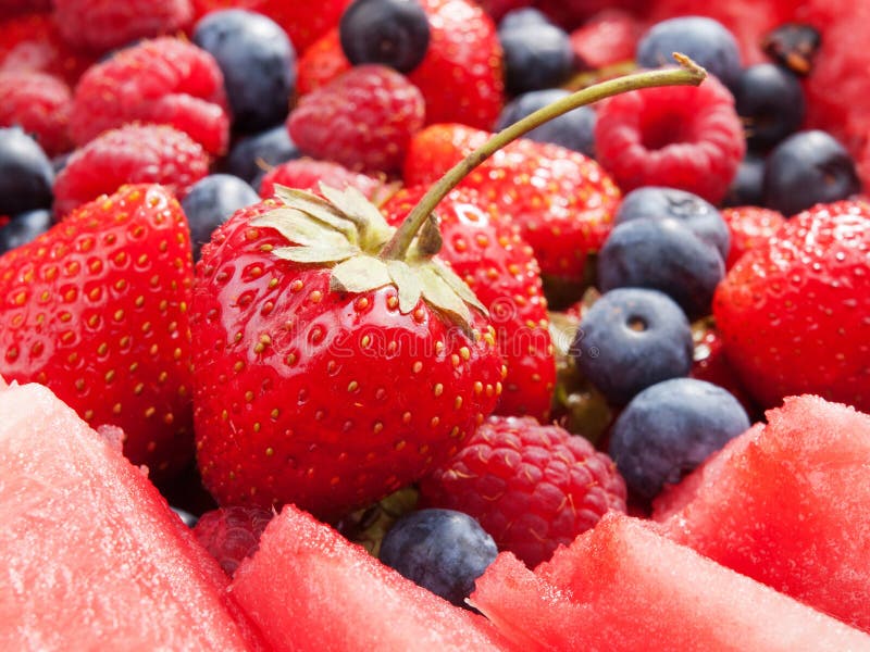 Berries stock photo. Image of brightly, food, ripe, raspberry - 49327918