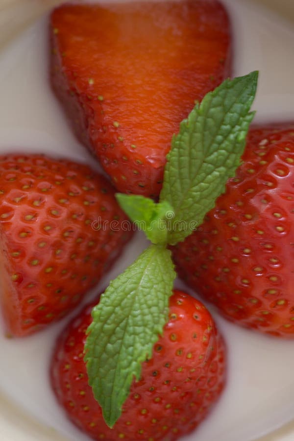 Berries, Close-up, View Picture. Image: 109883744