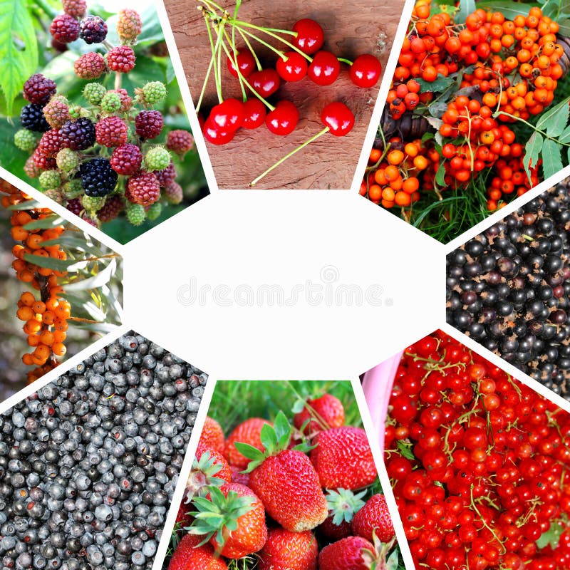 Berries stock photo. Image of cherry, food, garden, collage - 78669484