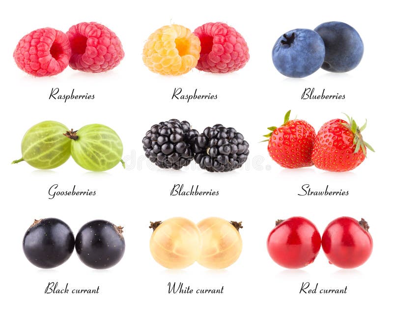 Berries stock image. Image of sweet, healthy, colorful - 51538377