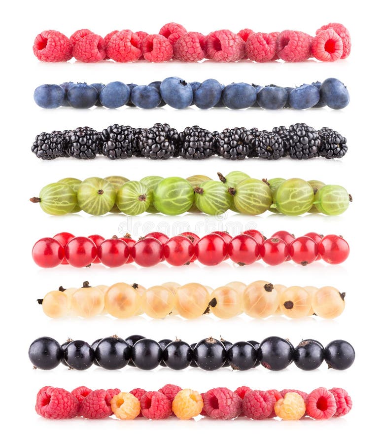 Berries stock image. Image of collection, juicy, food - 45154211